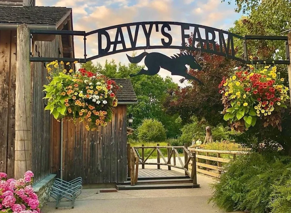 Top things to do at Davy Crockett Ranch at Disneyland Paris